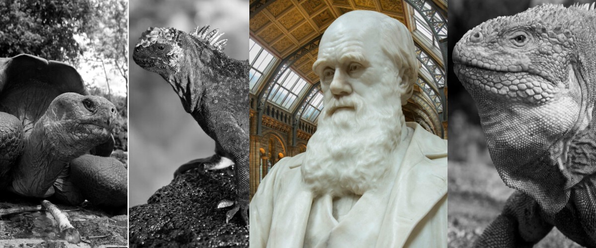 Did Charles Darwin’s uncle invent the steam engine? | TouchstoneTruth.com